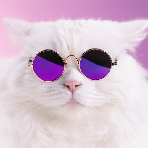 Comunicare l’Europa, tra realtà e DG MEME | Bocconi Alumni Community